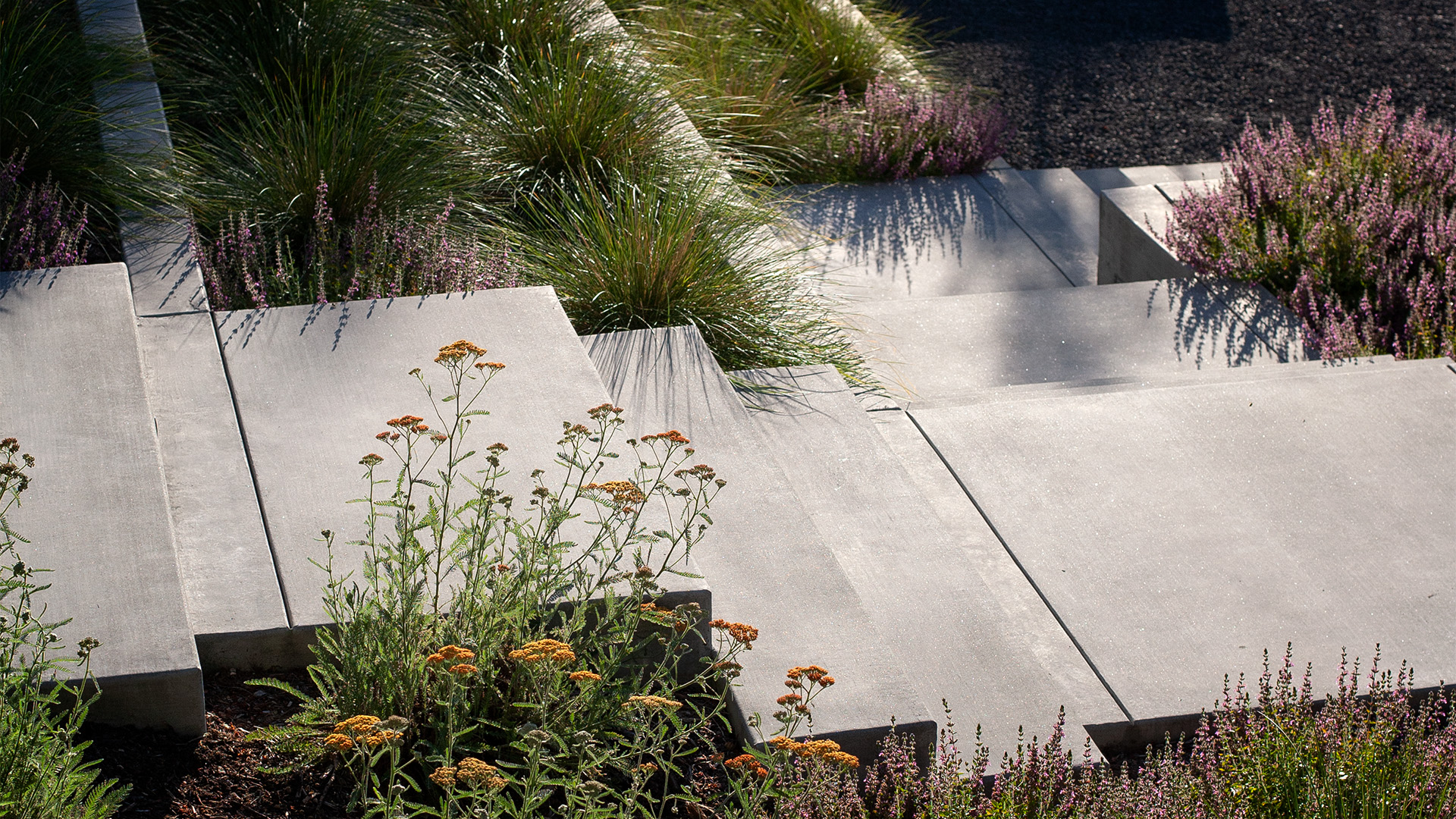 Press - Merge Studio